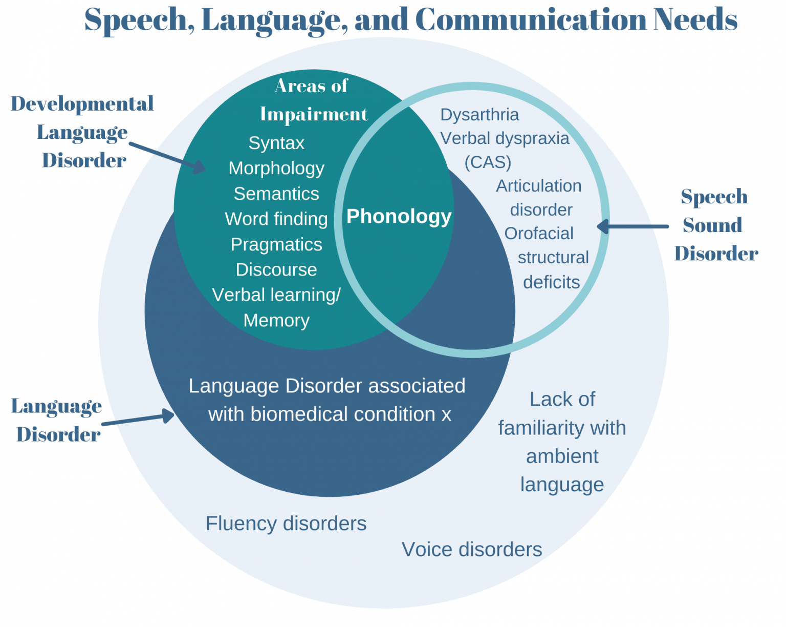 Defining Language Disorder – Language Disorders In School-Age Children And Adolescents